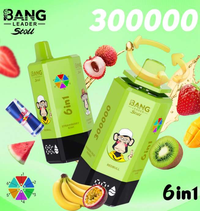 Bang Leader 300K 300000 Puffs 6-in-1 Flavors Rechargeable LED Display ...