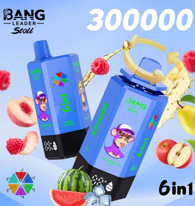 Bang Leader 300K 300000 Puffs 6-in-1 Flavors Rechargeable LED Display ...