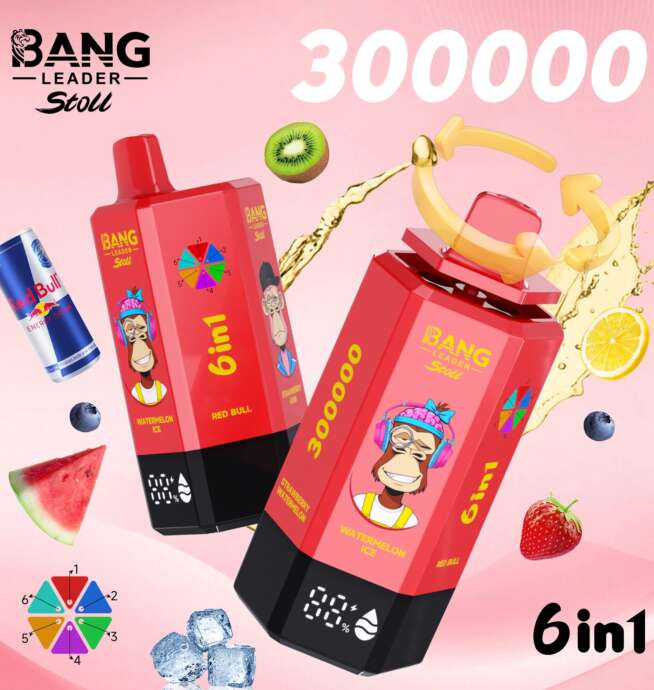 Bang Leader 300K 300000 Puffs 6-in-1 Flavors Rechargeable LED Display ...
